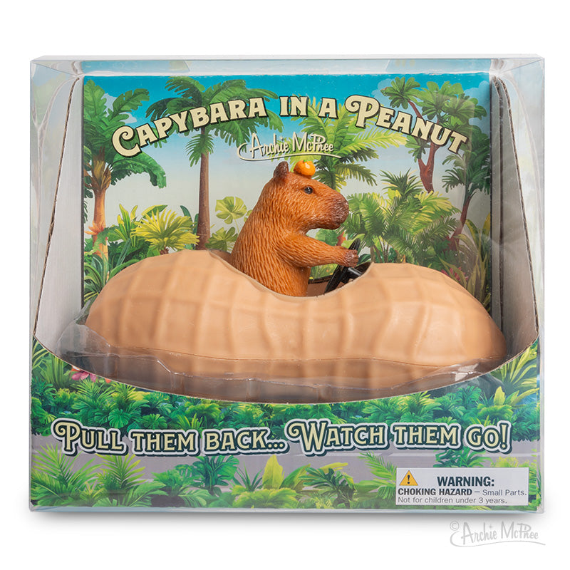 Capybara in a Peanut - Cute Pullback Racing Car Child Toy - Archie McP ...