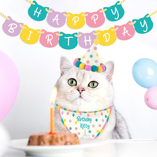 Happy Birthday Kitten Memes Free, Customizable, Printable Cat Card