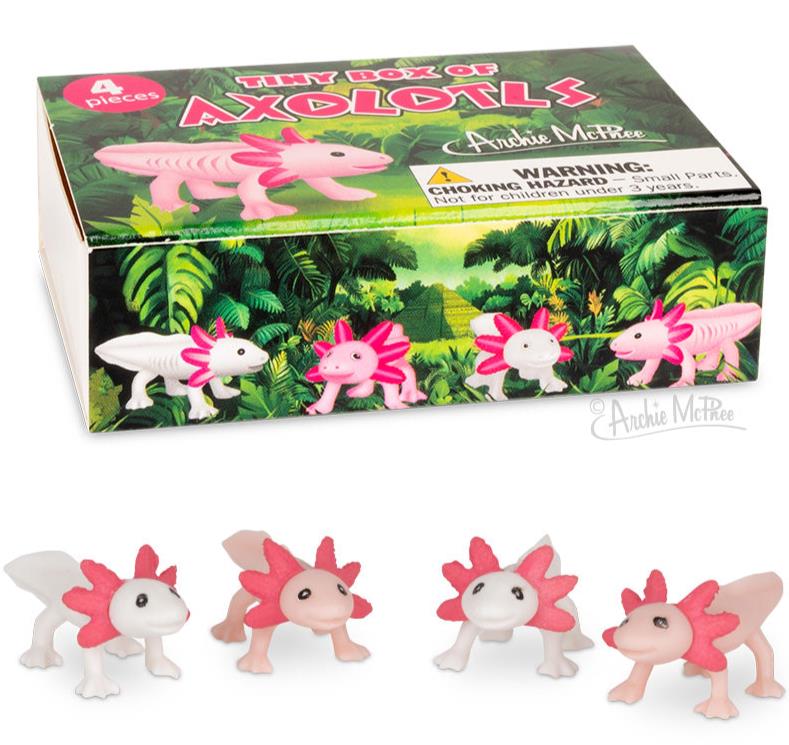 Mini Axolotls Figurines in Matchbox – 4-Piece Amphibian Toy Set by Arc ...